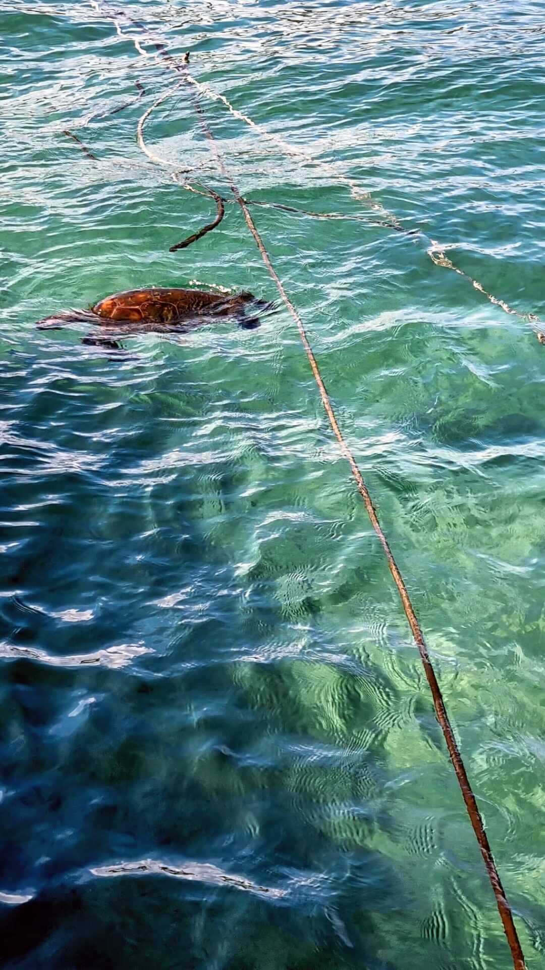 10 Top Things To Do On Easter Island : Rapa Nui