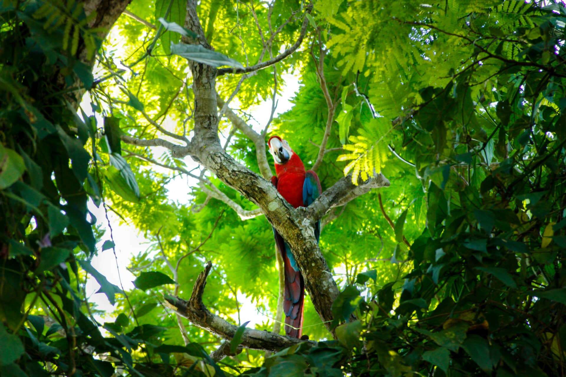 Amazon Cultural Adventure | Group Travel To Brazil