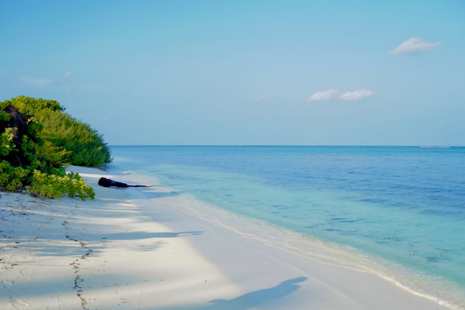 Guide to Ecotourism in the Maldives