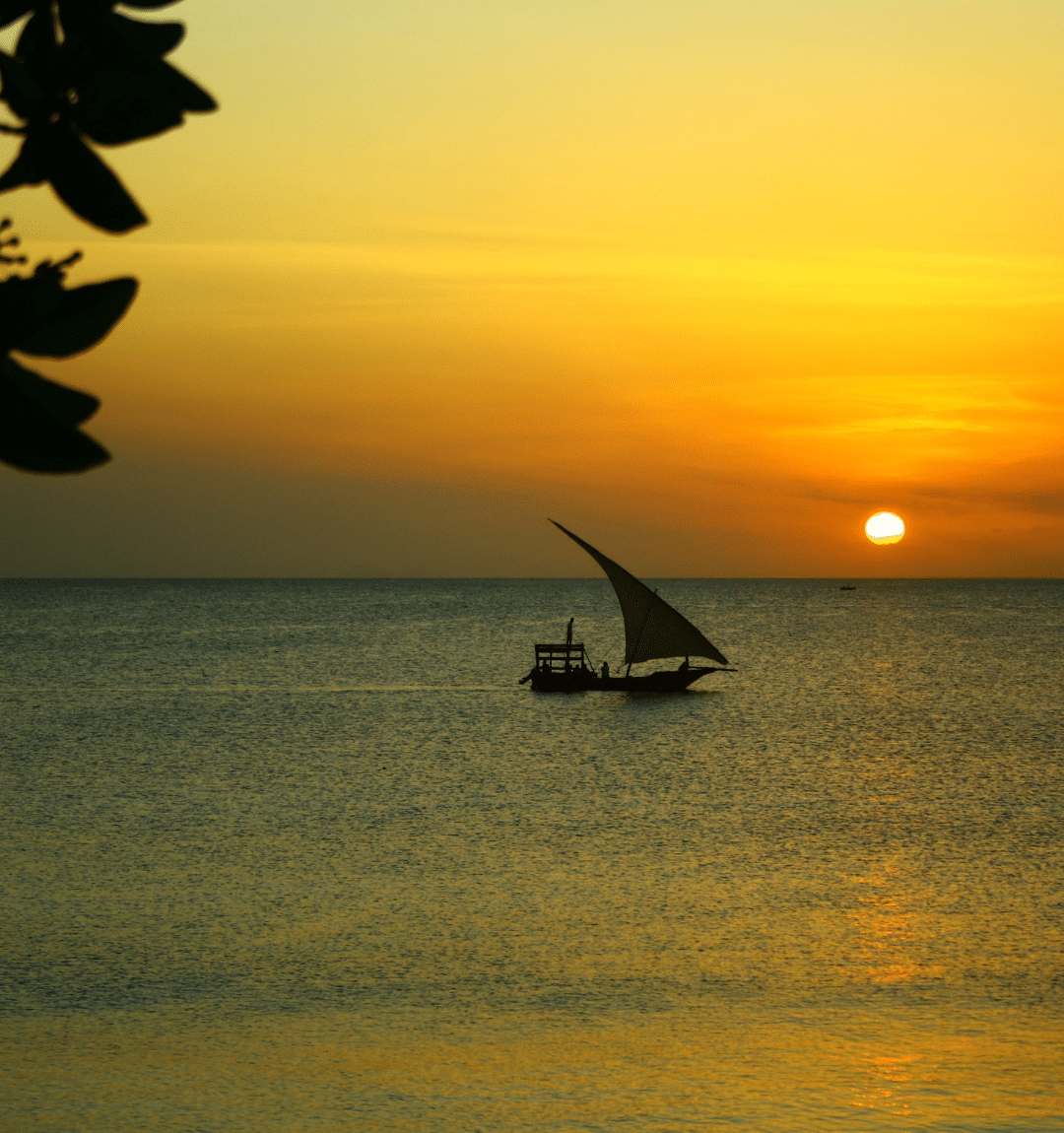 Everything you need to know about Zanzibar